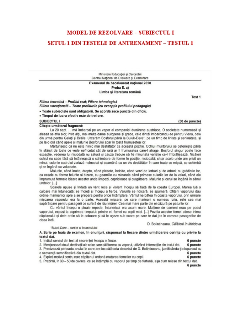 Rezolvare Subiecte Bacalaureat Și Perspectiva Narativă | PDF