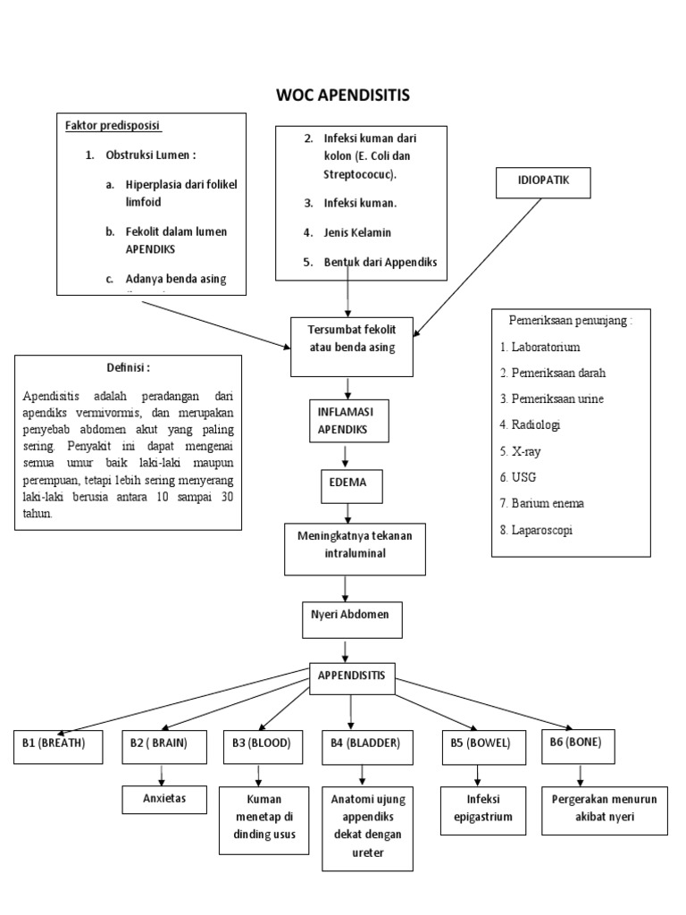 Pathway Apendisitis dan Komplikasinya | PDF