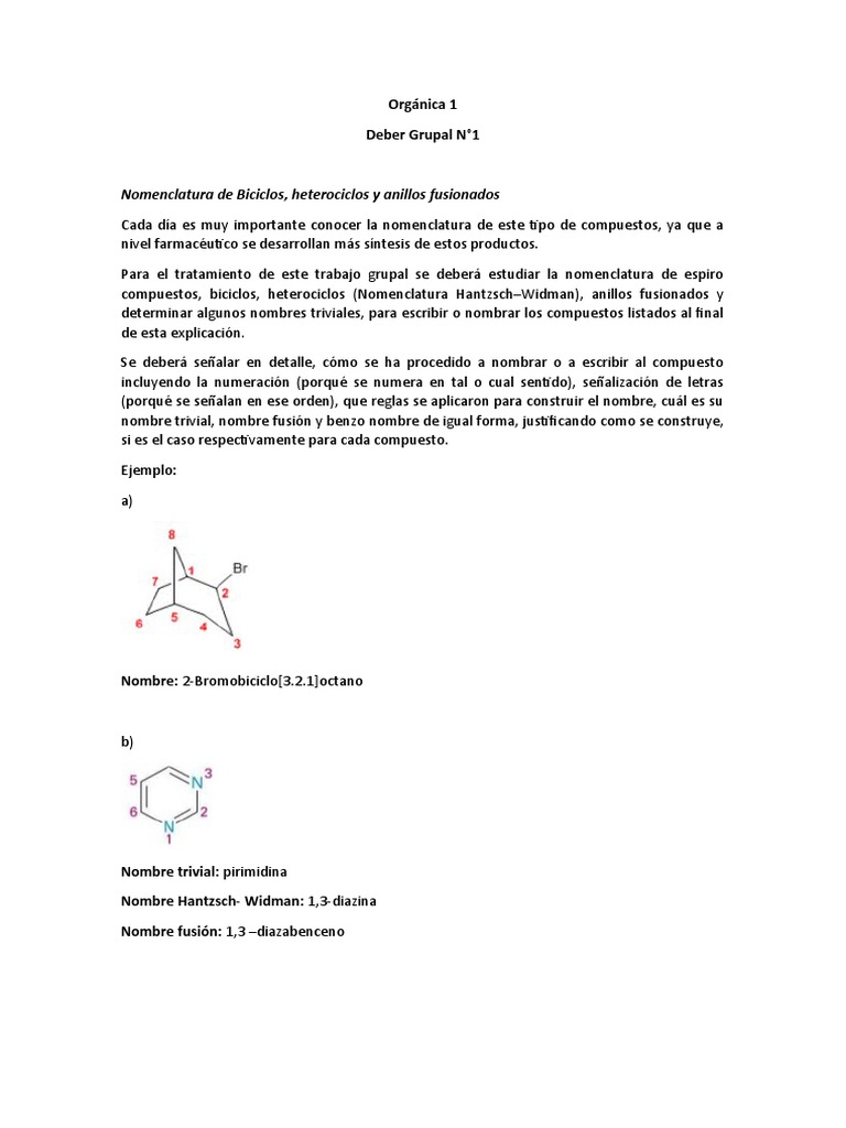 Deber Grupal 1 | PDF