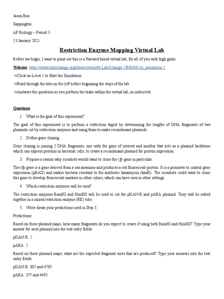 Restriction Enzyme Mapping Virtual Lab | PDF | Molecular Cloning | Gel ...