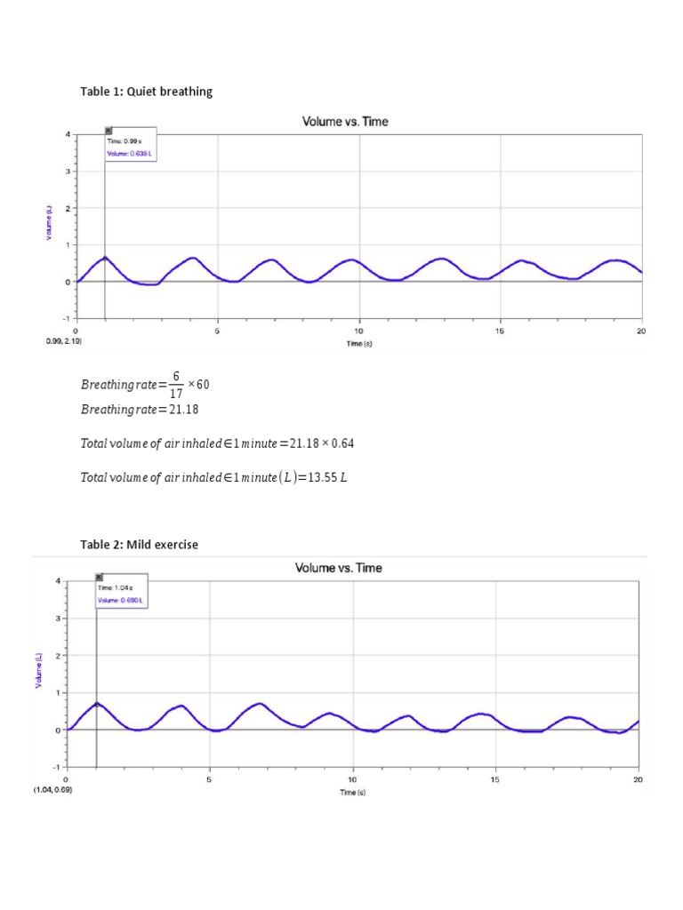 Spirometer Lab | PDF