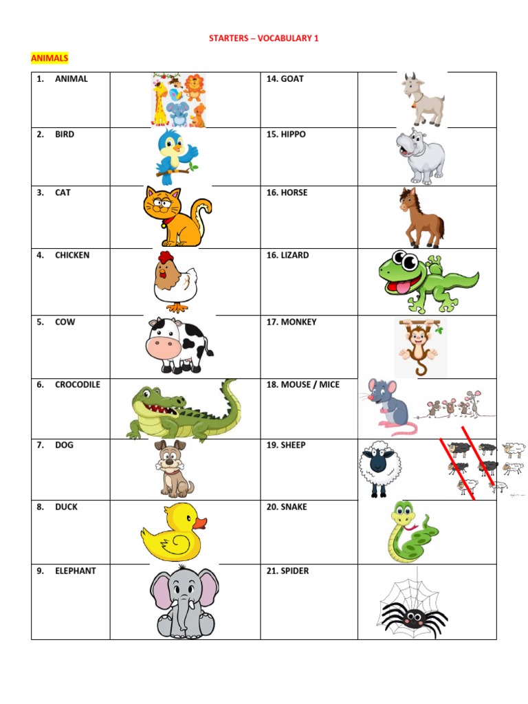 Animal 14. GOAT: Starters - Vocabulary 1 Animals | PDF
