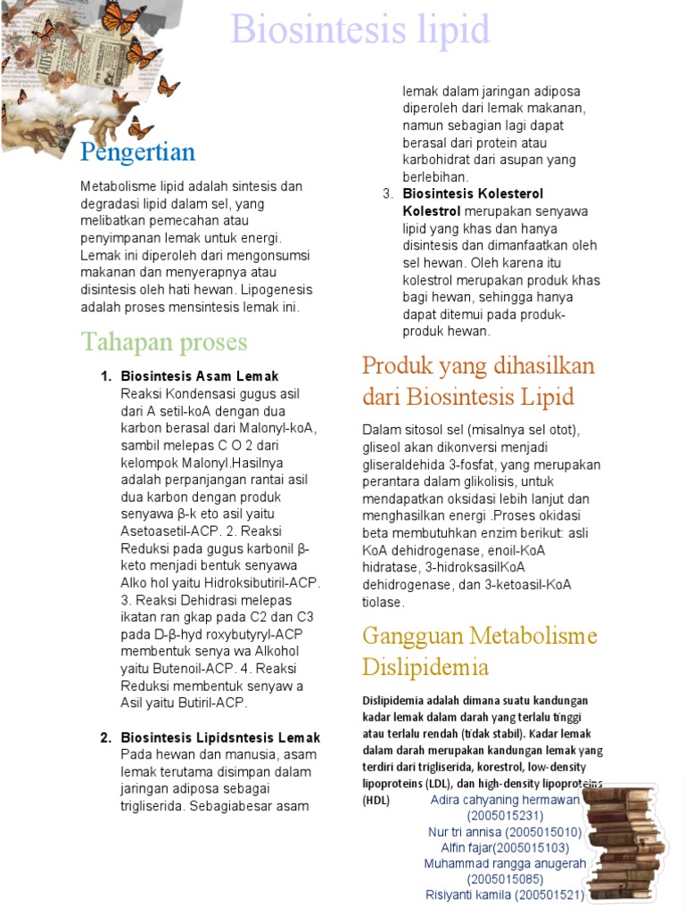 Mind Map Kel 3 | PDF