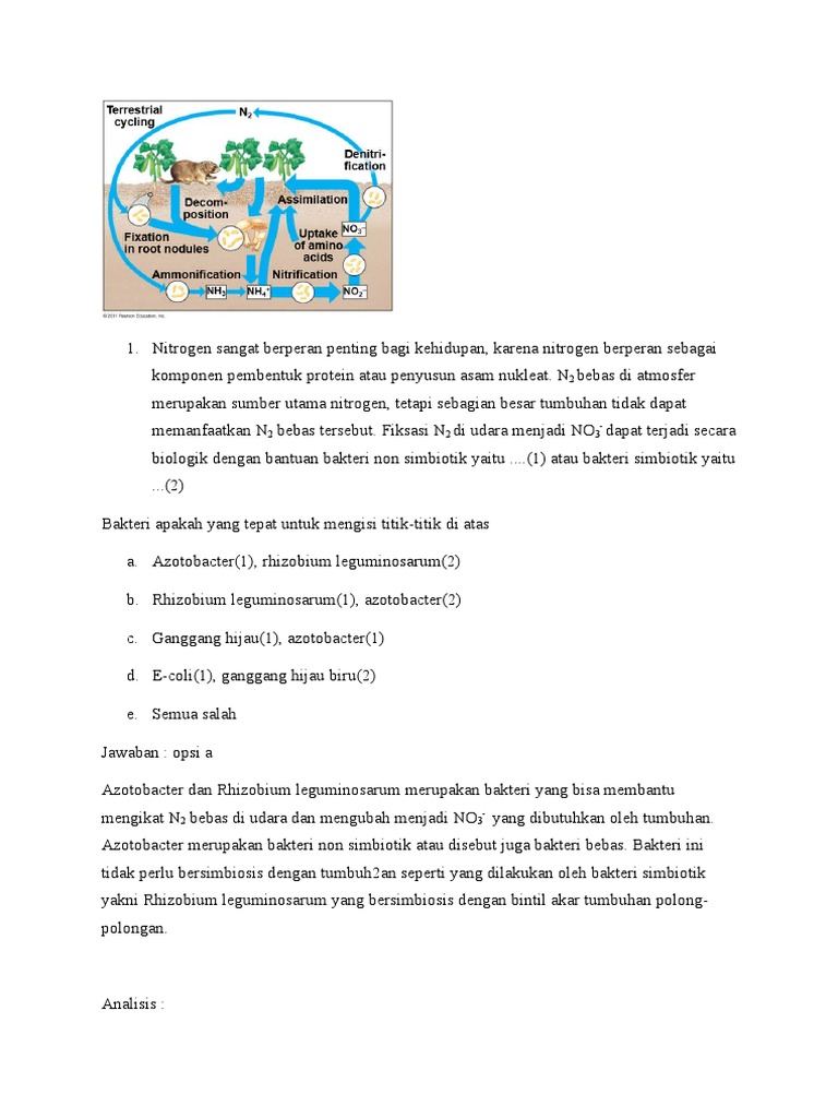 Contoh Soal Biologi | PDF | Sains & Matematika