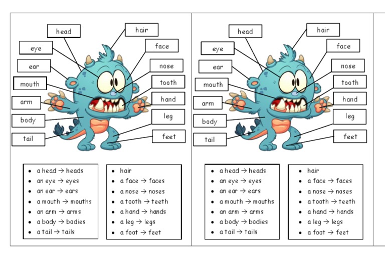 Body Parts - Stickers | PDF