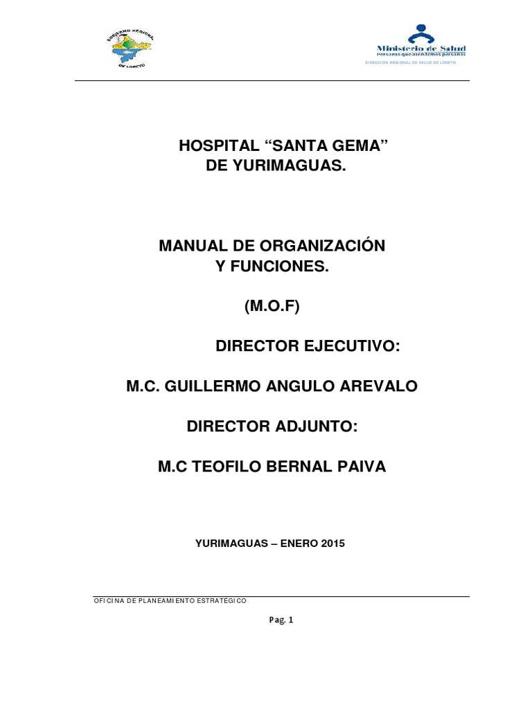 HOSPITAL SANTA GEMA DE YURIMAGUAS. MANUAL DE ORGANIZACIÓN Y FUNCIONES. (M.O.F) DIRECTOR ...