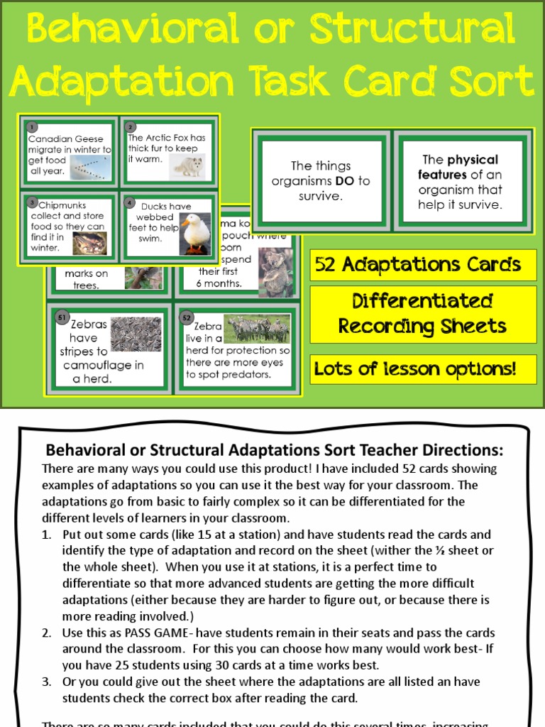 Adaptation Cards | PDF | Predation | Bears