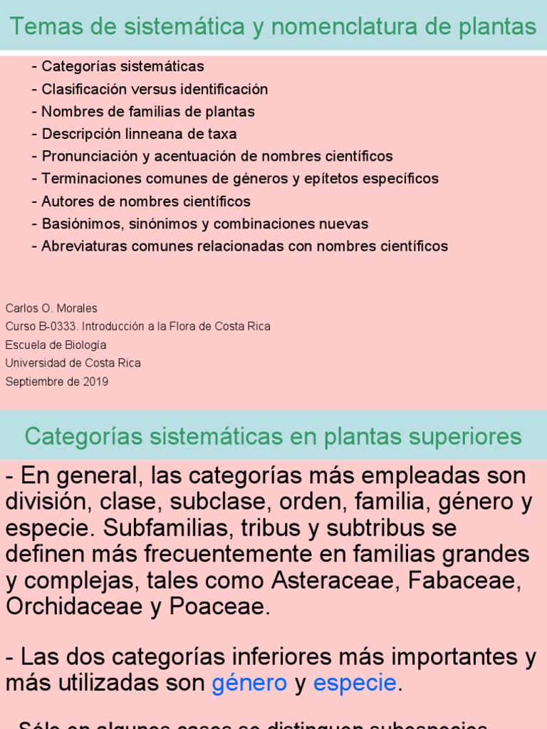 Nomenclatura y sistemática de plantas | PDF | Organismos | Botánica