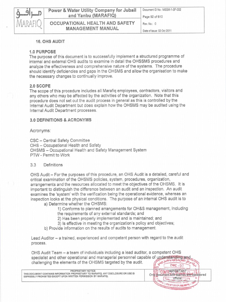 16.OHS Audit | PDF