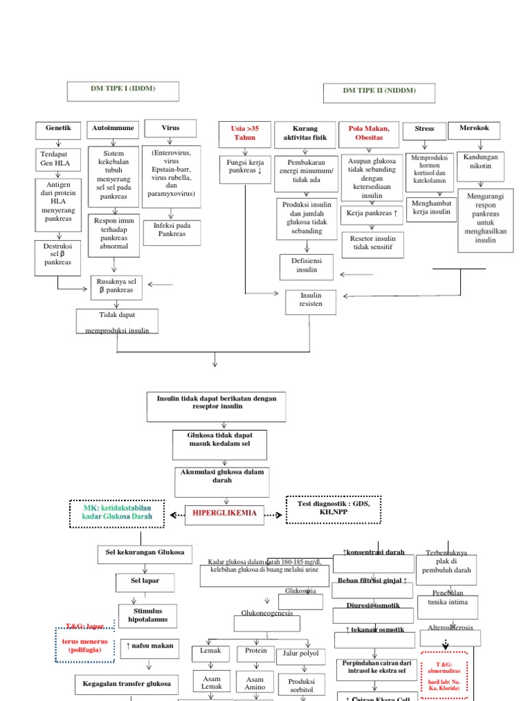 Revisi Patoflow DM PKK | PDF