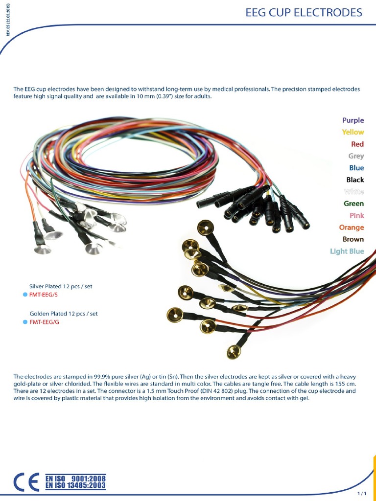Eeg | PDF