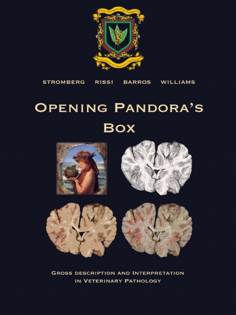 Pandoras Box | PDF | Pathology | Anatomy