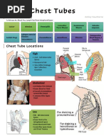 EMS Capnography Waveforms | PDF | Respiratory System | Animal Physiology