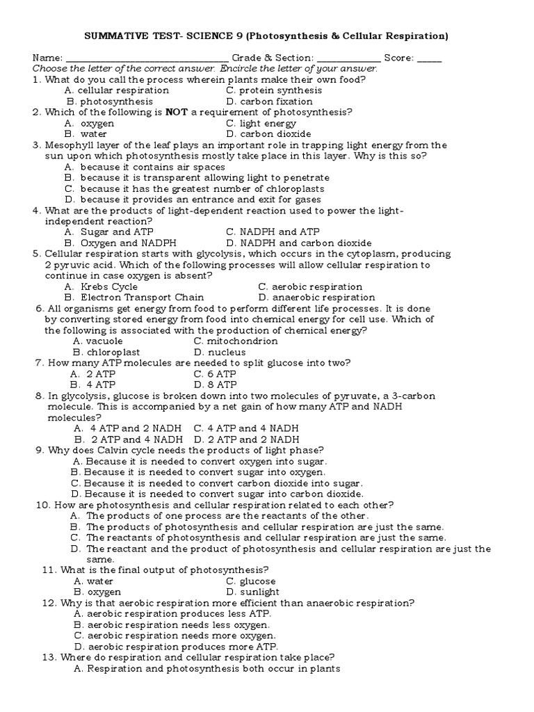 Science 9: Photosynthesis Test | PDF | Cellular Respiration ...