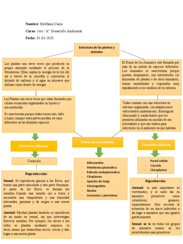 Estructura de Animales y Plantas | PDF | Plantas | Biología Celular)