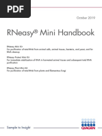 RNeasy Mini Kit Protocol Overview | PDF