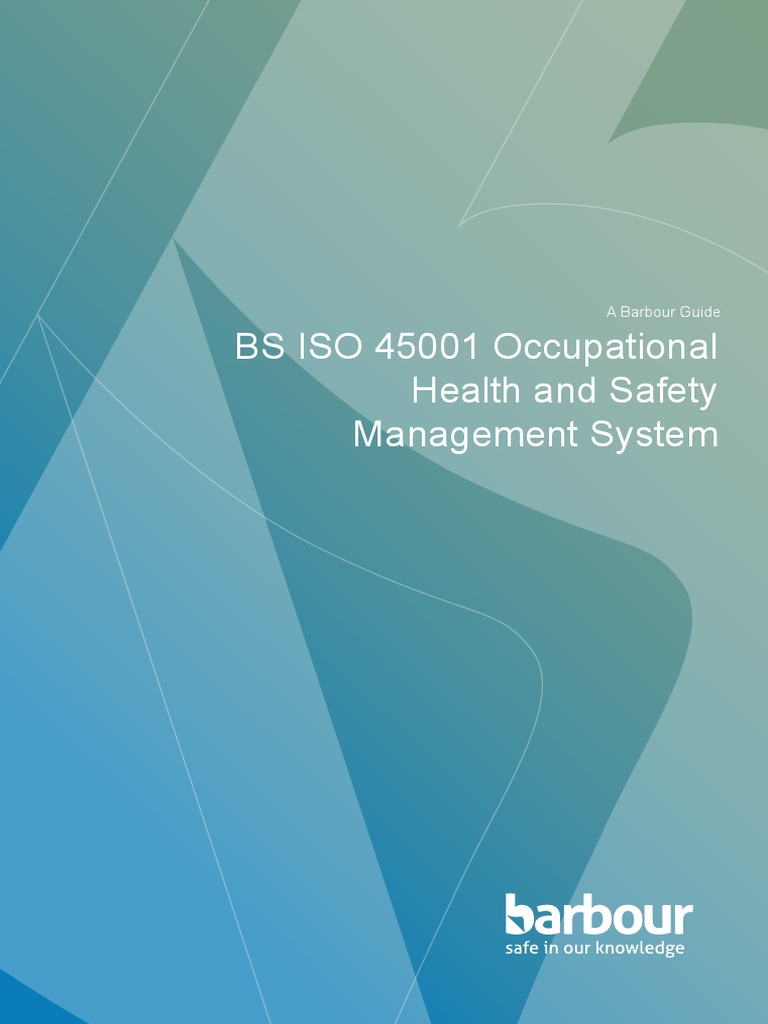 BS ISO 45001 Occupational Health and Safety Management Systems Guide ...