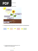 Photosynthesis Hhmi Biointeractive | PDF | Photosynthesis | Physiology