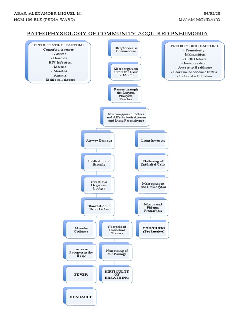 Abas, Pathophysiology of Cap | PDF | Respiratory Tract | Medical ...