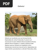 1 - Fisa de Lucru HTML | PDF