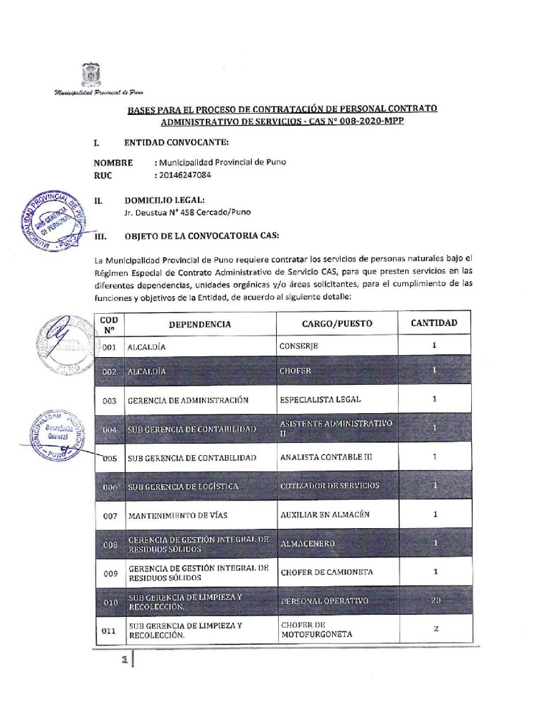 BASES DE LA CONVOCATORIA CAS 08 - Opt | PDF