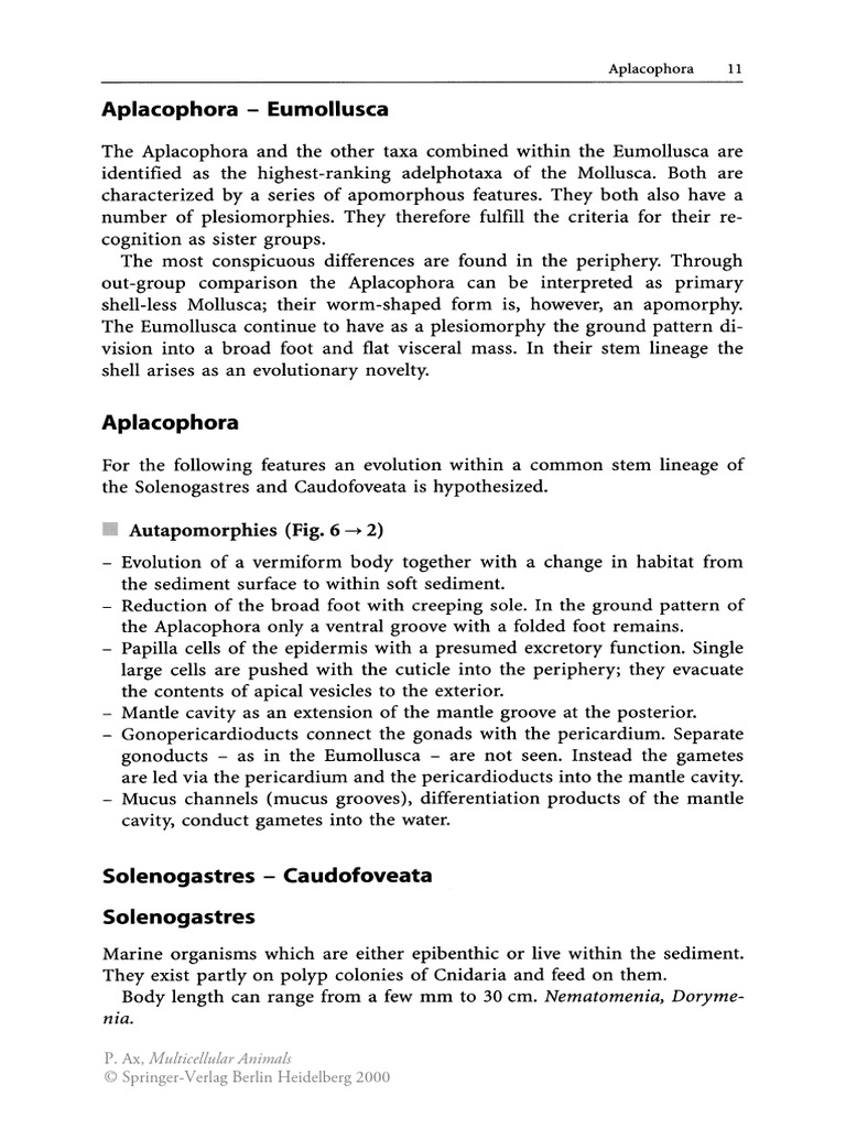 Aplacophora - Eumollusca: - Autapomorphies (Fig. 6 2) | PDF | Mollusca ...