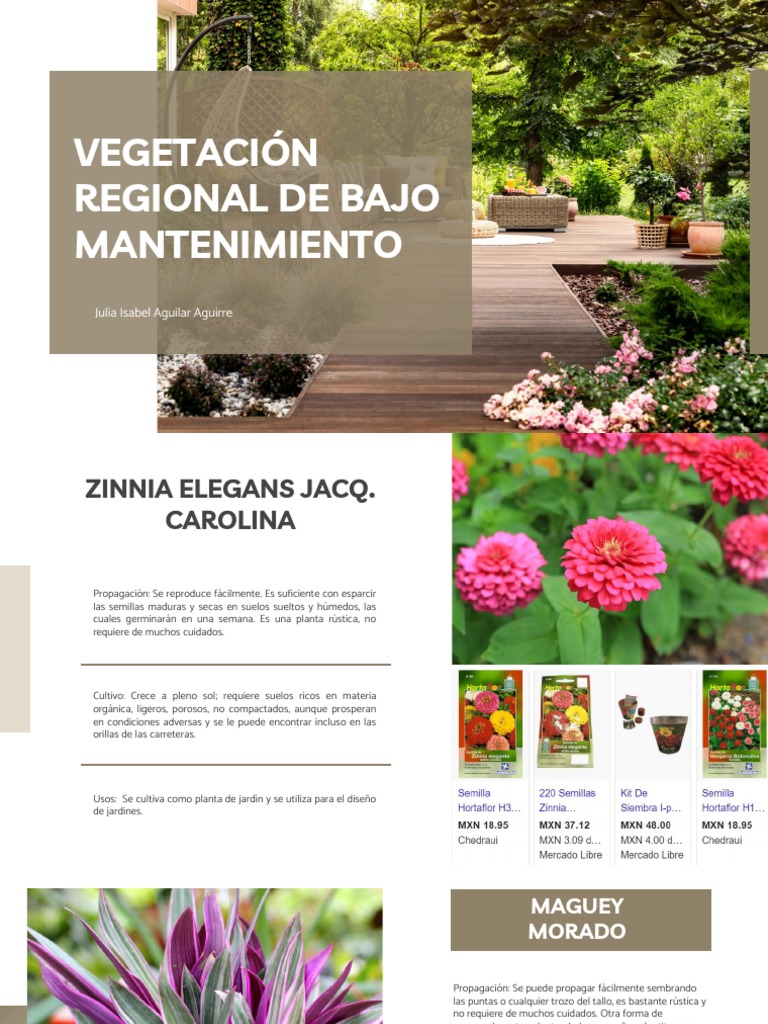 Vegetación Regional De Bajo Mantenimiento Pdf Siembra Germinación