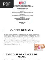 Formula Obstetrica | PDF | Salud y bienestar