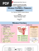 2 Obstruccion Intestinal Por Bridas y Adherencias | PDF | Medicina ...