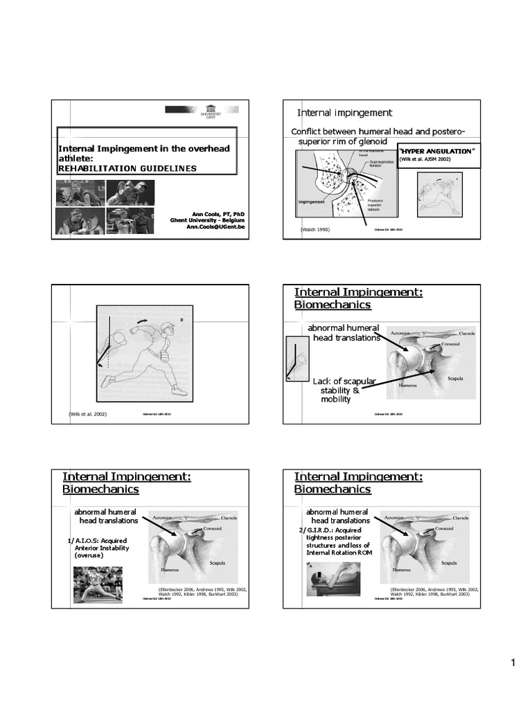 (Walch 1990) (Wilk Et Al. AJSM 2002) (Ellenbecker 2006, Andrews 1995 ...