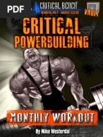 Power Lifting Matrix | PDF | Weight Training | Strength Training