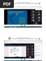 Bandera y Escudo de Neiva | PDF