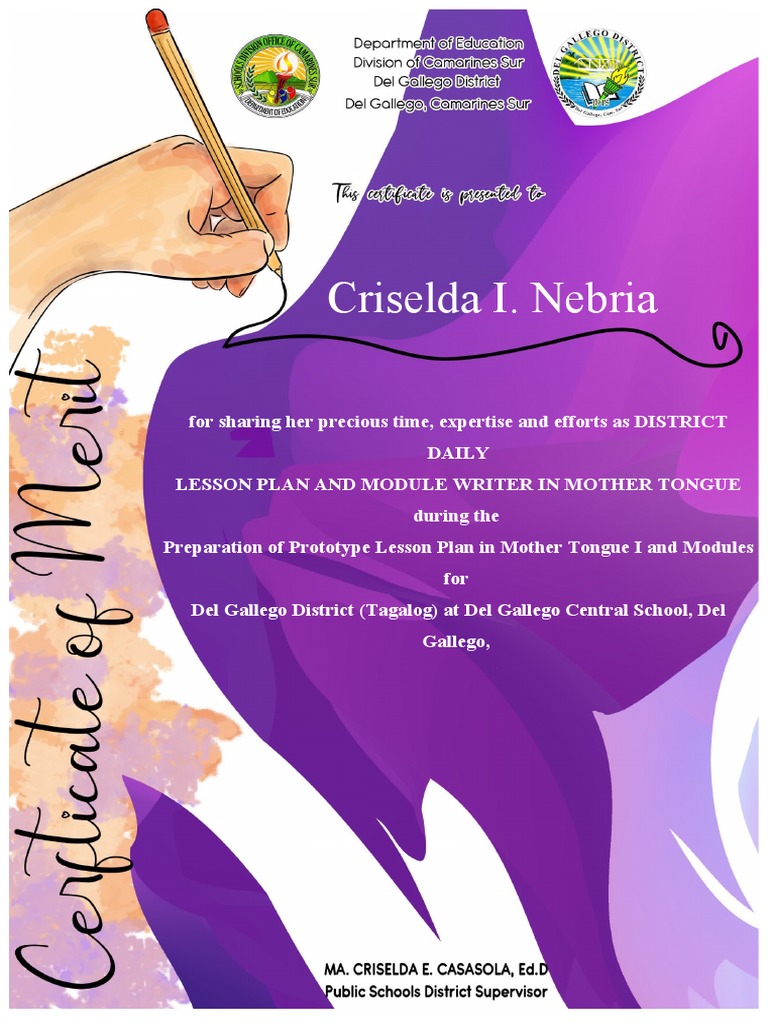 Certificate For Module Writing | PDF