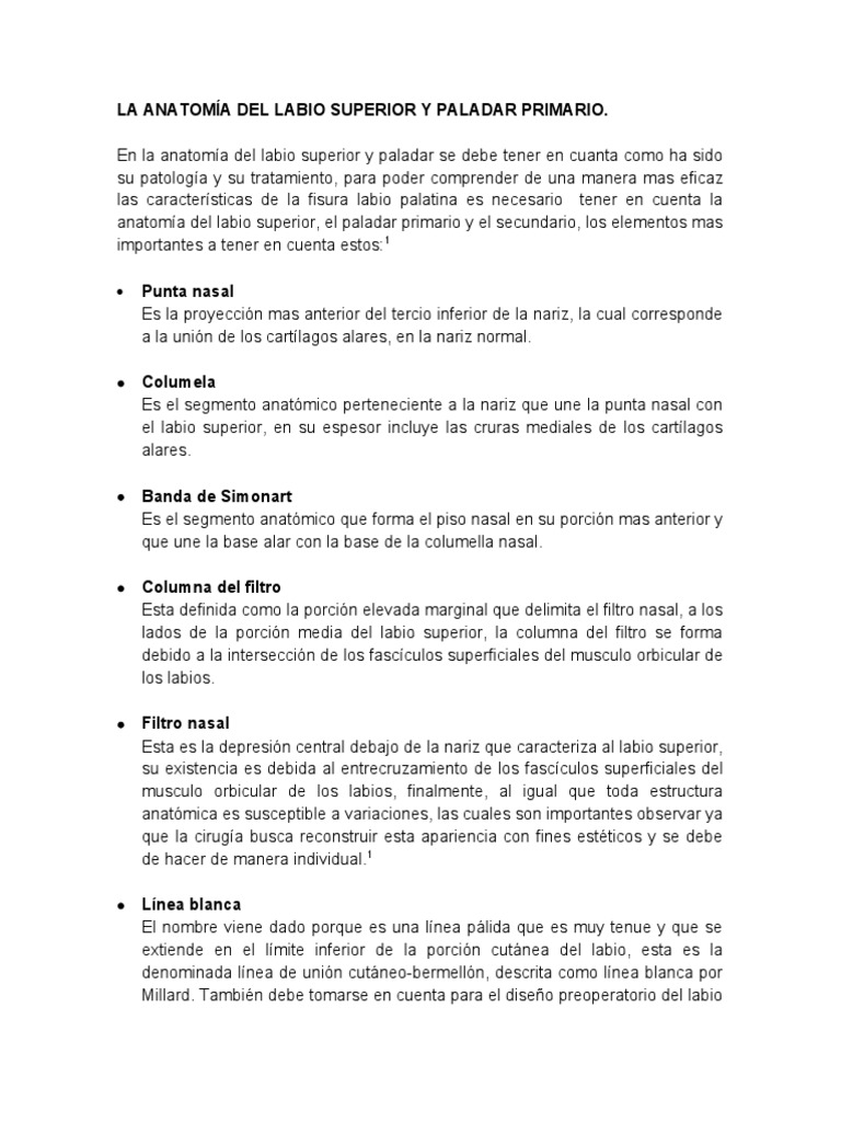 La Anatomía Del Labio Superior y Paladar Primario | PDF | Labio ...