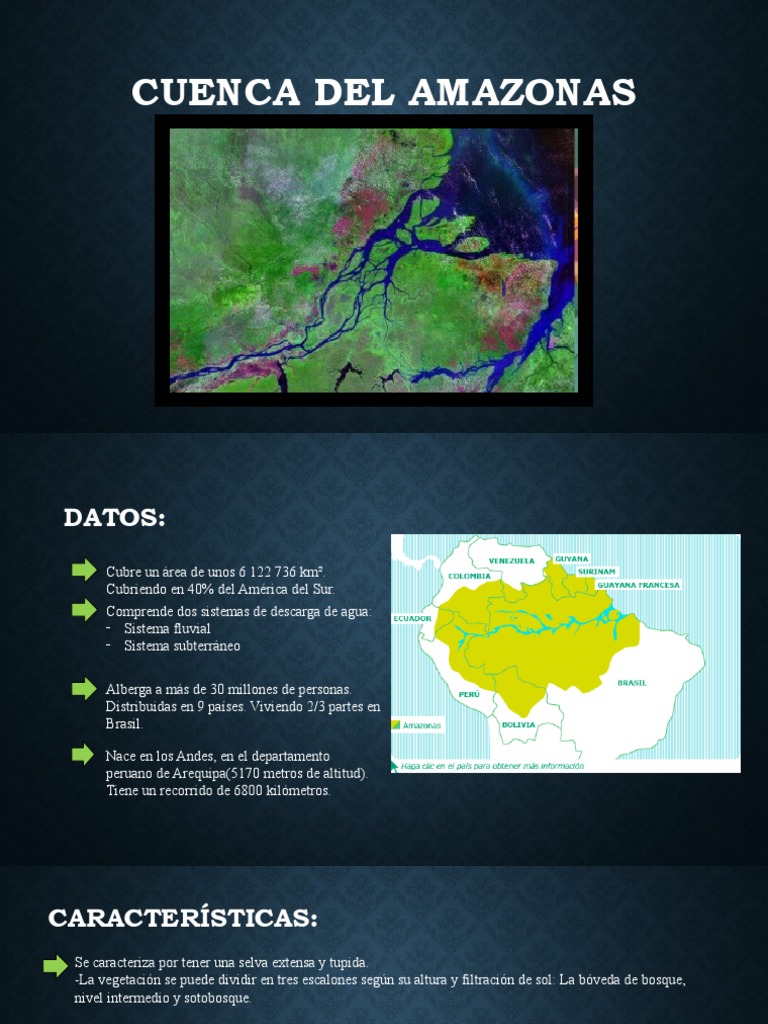 Características de la Cuenca del Amazonas | PDF | Viajes y turismo