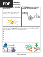 Video Recap of Cell Transport by Amoeba Sisters | PDF | Lipid Bilayer ...