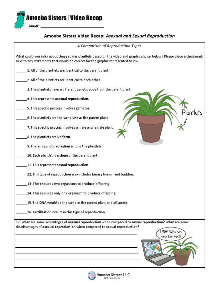 Amoeba Sisters: Reproduction Types Recap | PDF