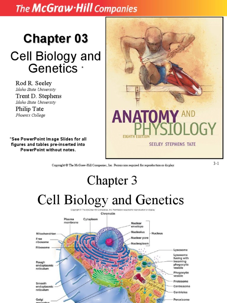 Cell Biology and Genetics - Seeley Chapter 3 | PDF | Osmosis | Cell ...