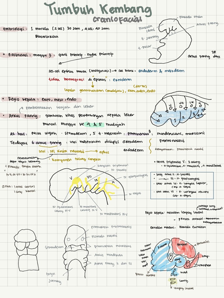 Ringkasan PPT Blok 8 2019 | PDF
