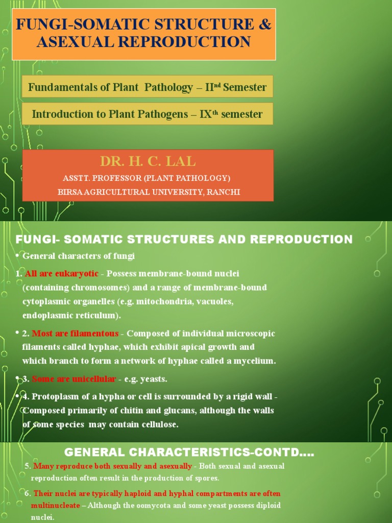 Fungi - Somatic Structure | PDF | Fungus | Sexual Reproduction