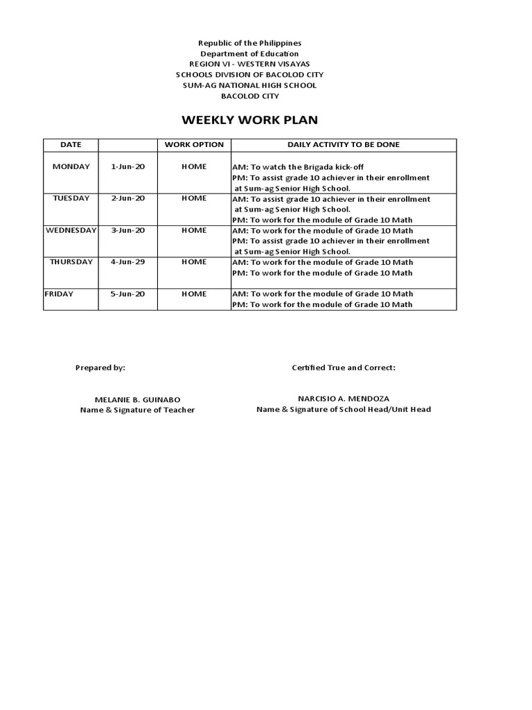 Weekly Work Plan: Date Work Option Daily Activity To Be Done | PDF ...