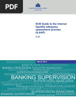 Ilaap Guidelines1 | PDF | Stress Test (Financial) | Liquidity Risk