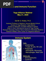 Maps of Michael White's Narrative Therapy | PDF | Experience | Attention