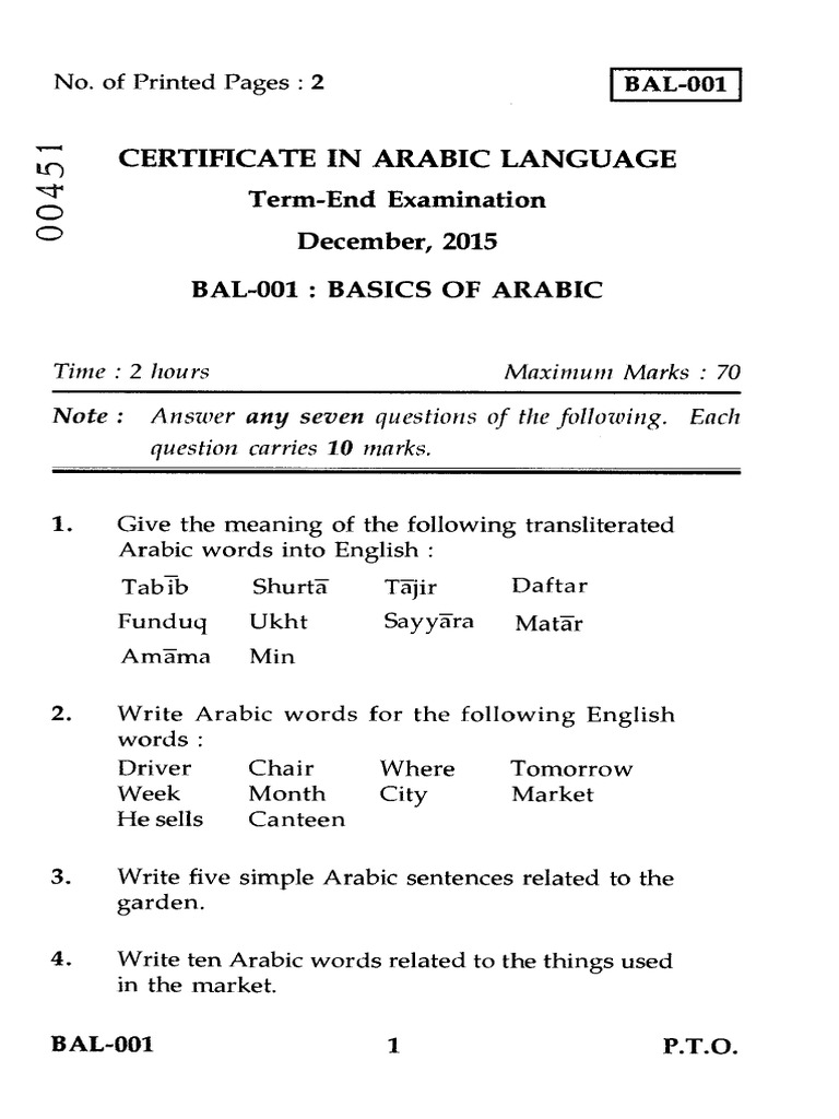 Basics of Arabic Language Exam Guide | PDF