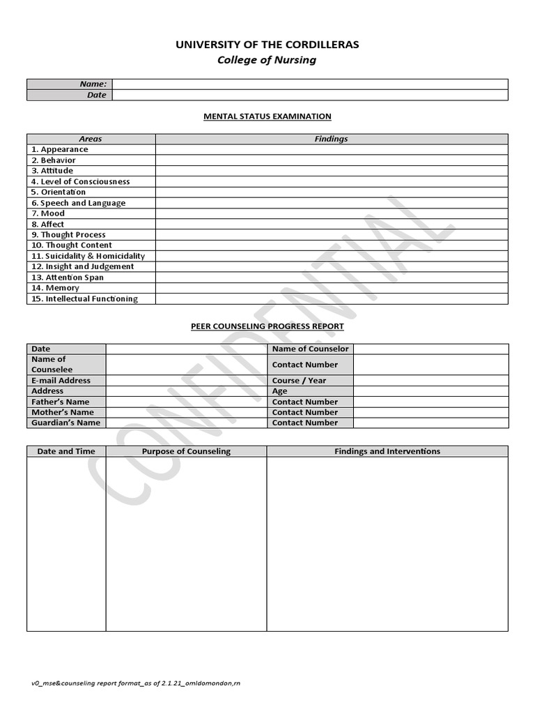 MSE and COUNSELING REPORT FORMAT | PDF