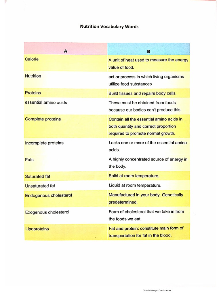 Nutrition Vocabulary Words | PDF