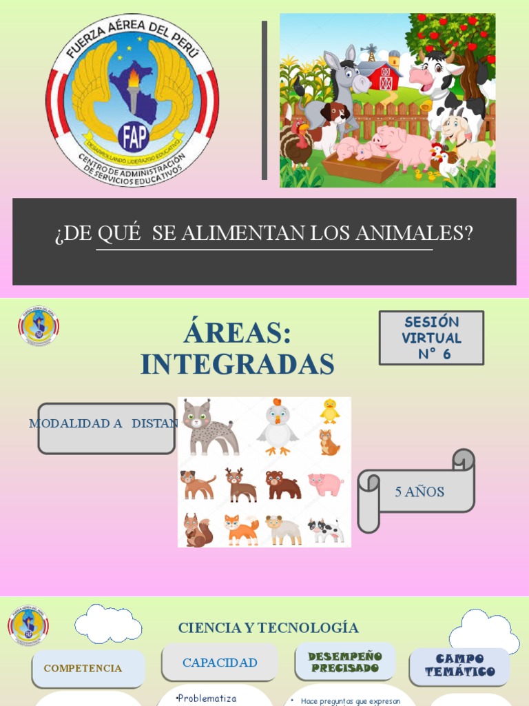 Clase de Animales Carnívoros, Herbívoros y Omnívoros | PDF ...