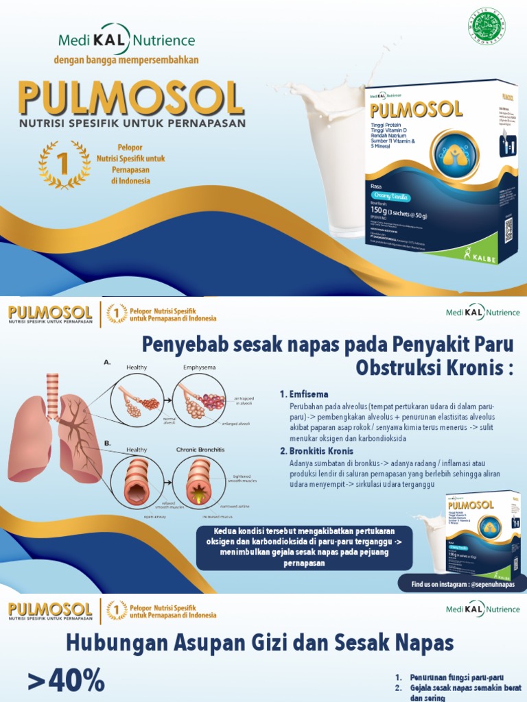 Info Pulmosol | PDF