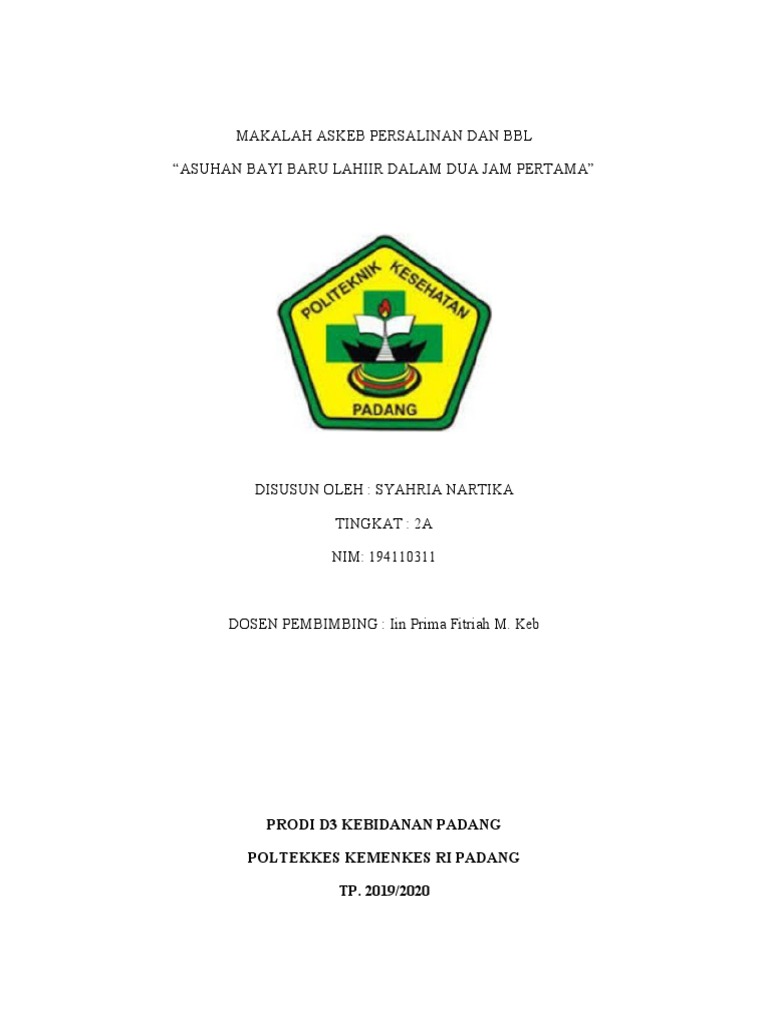 Asuhan Bayi Abru Lahir Dalam 2 Jam Pertama | PDF