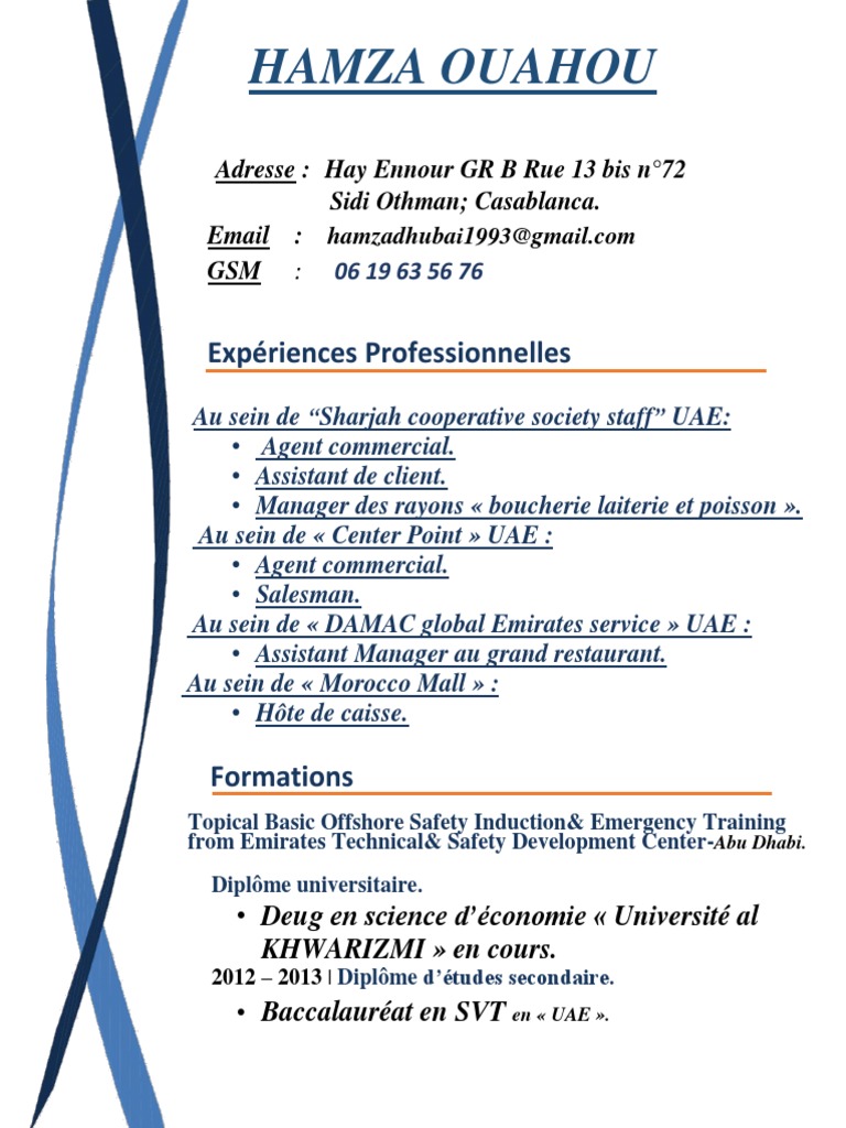 Hamza CV | PDF | Affaires